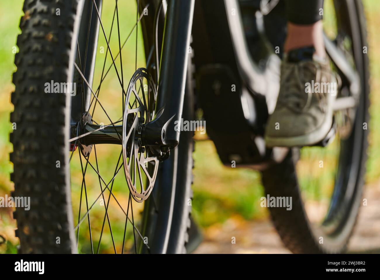 A sports bicycle races through the park, its components in focused ...