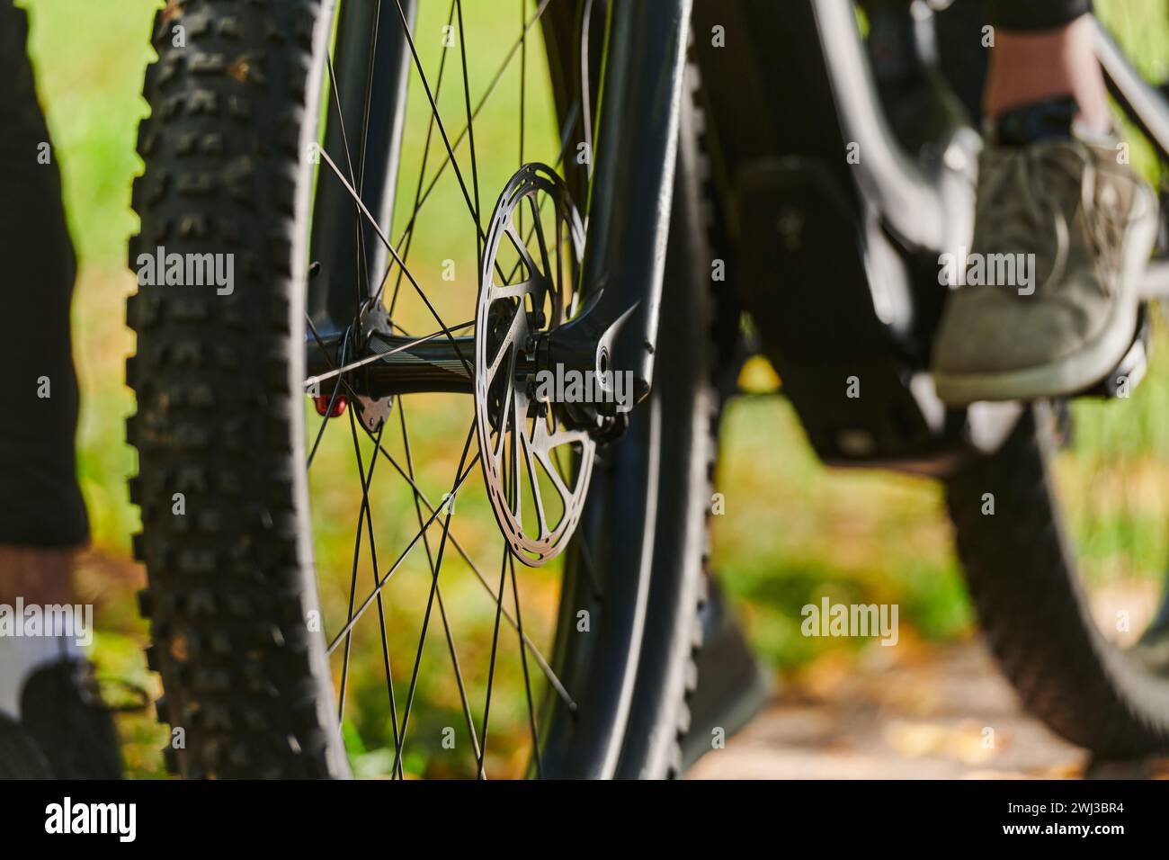 A sports bicycle races through the park, its components in focused ...