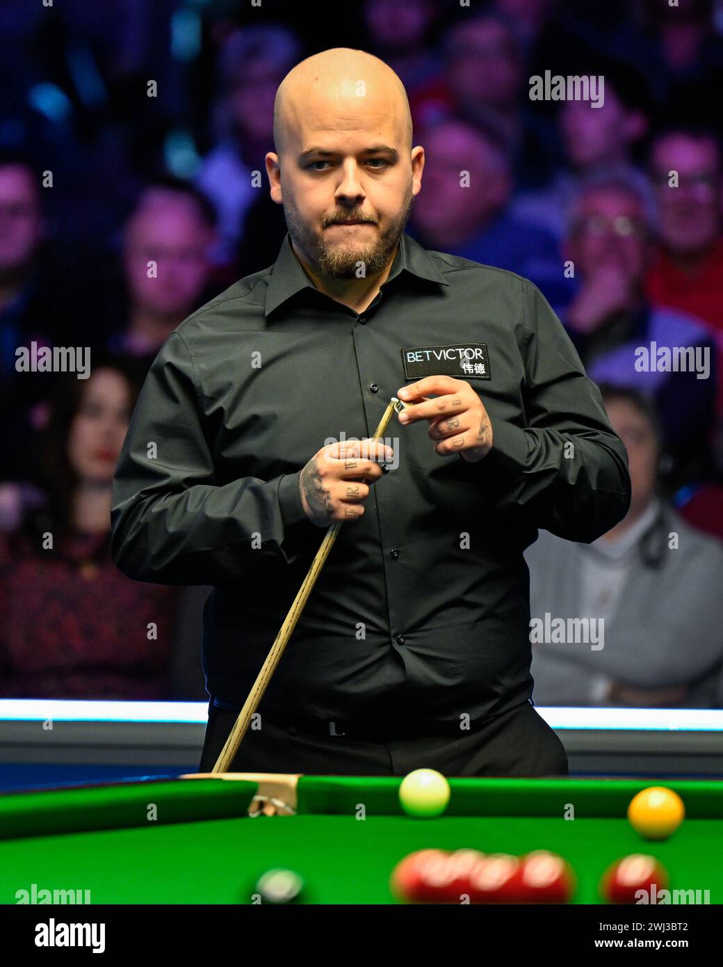 Luca brecel snooker hi-res stock photography and images - Alamy