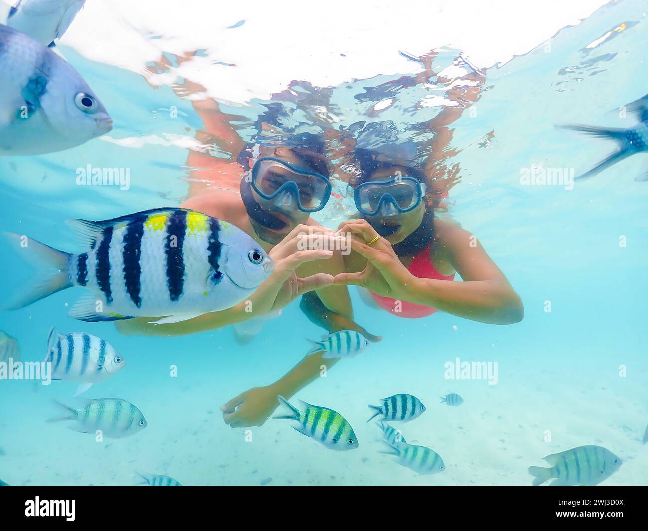 Snorkeling trip at Samaesan Thailand dive underwater with fishes in the ...