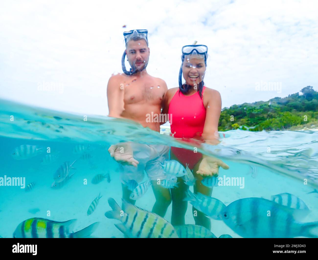 Snorkeling trip at Samaesan Thailand dive underwater with fishes in the ...