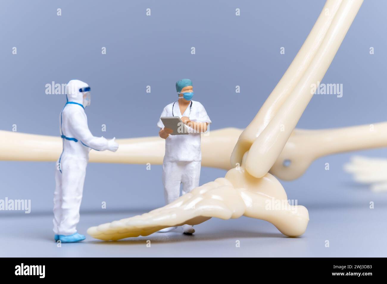 Miniature people Doctor with a giant human bone on a grey background ...