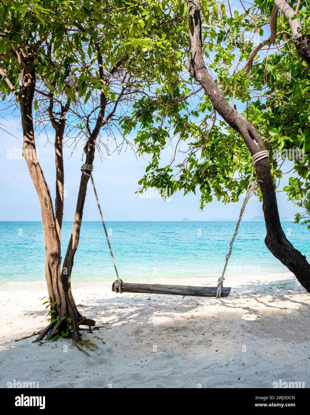 A swing under a tree at the beach of Ko Kham Island Sattahip Chonburi ...