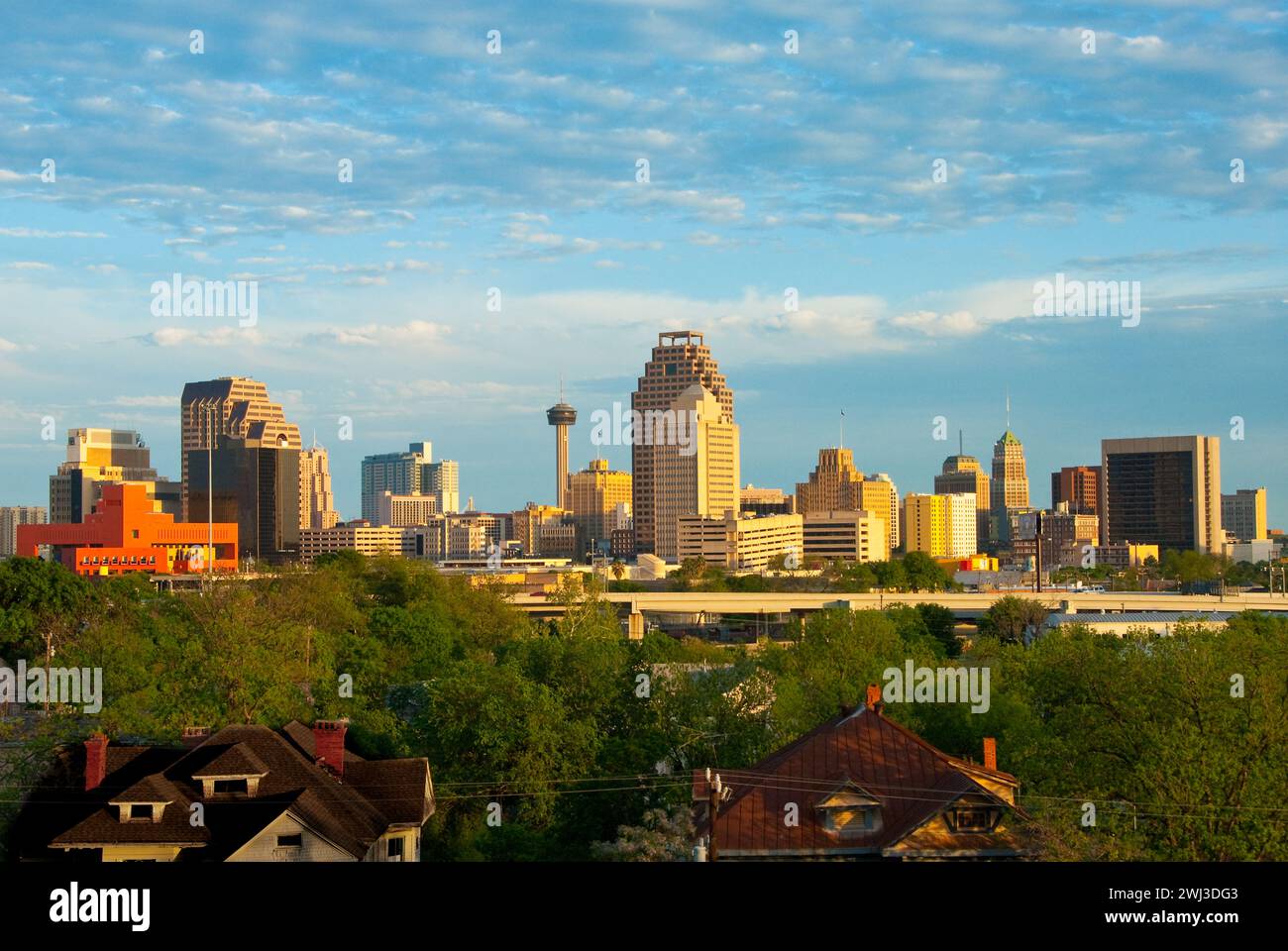 Treeline skyline hi-res stock photography and images - Alamy