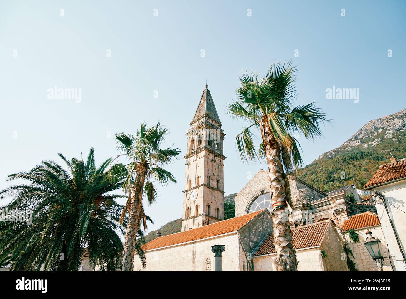 Palm trees grow in the courtyard of the Church of St. Nicholas against ...