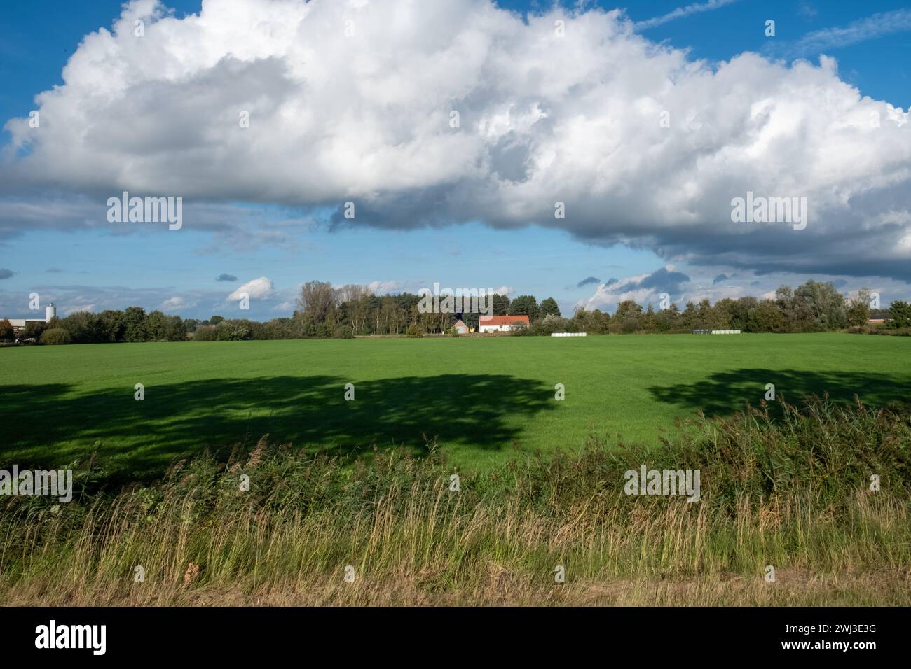 Expansive greenery hi-res stock photography and images - Alamy