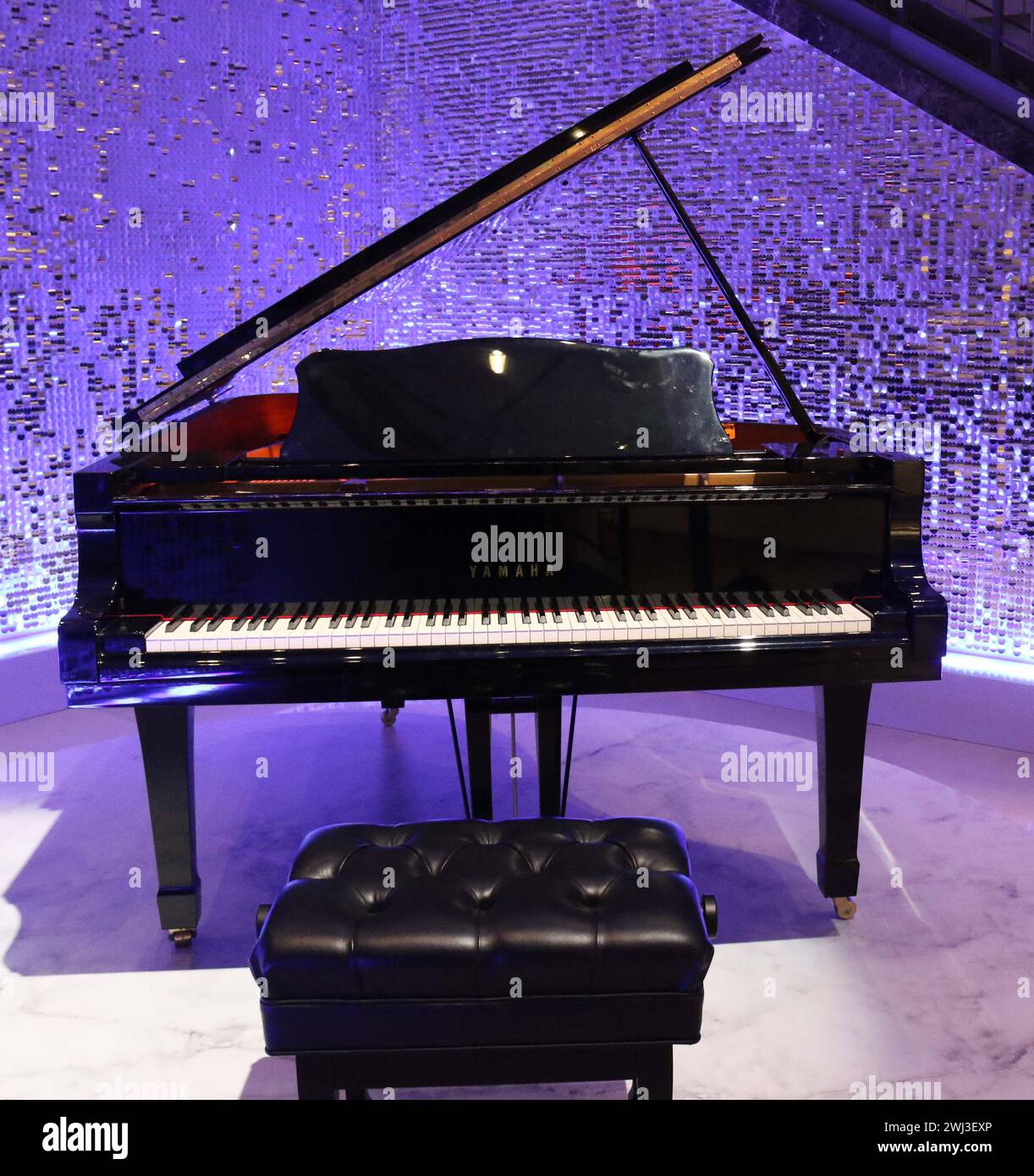 New York, New York, USA. 12th Feb, 2024. Elton John's Conservatory ...
