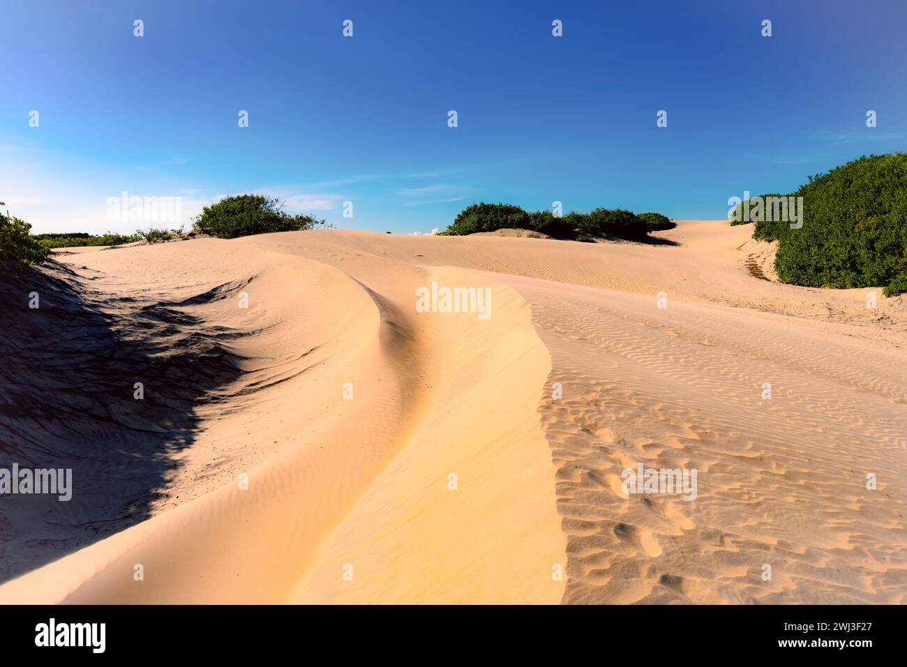 Scenic view of Mambrui Sand Dunes in Mambrui Beach in Malindi, Kenya ...