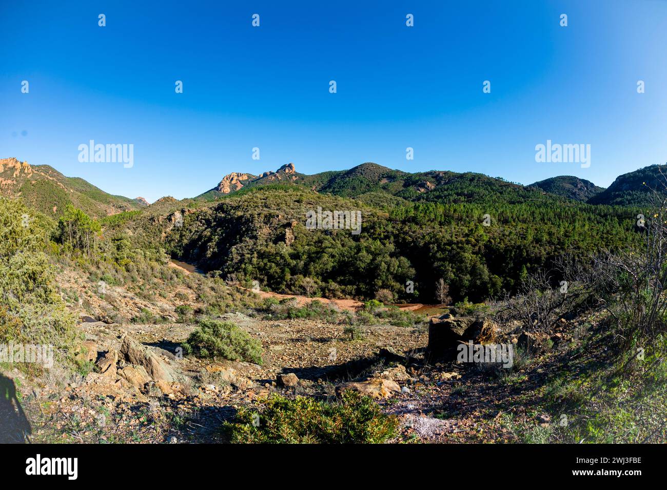 A small valley in the Estérel region of France. After the rain, a ...