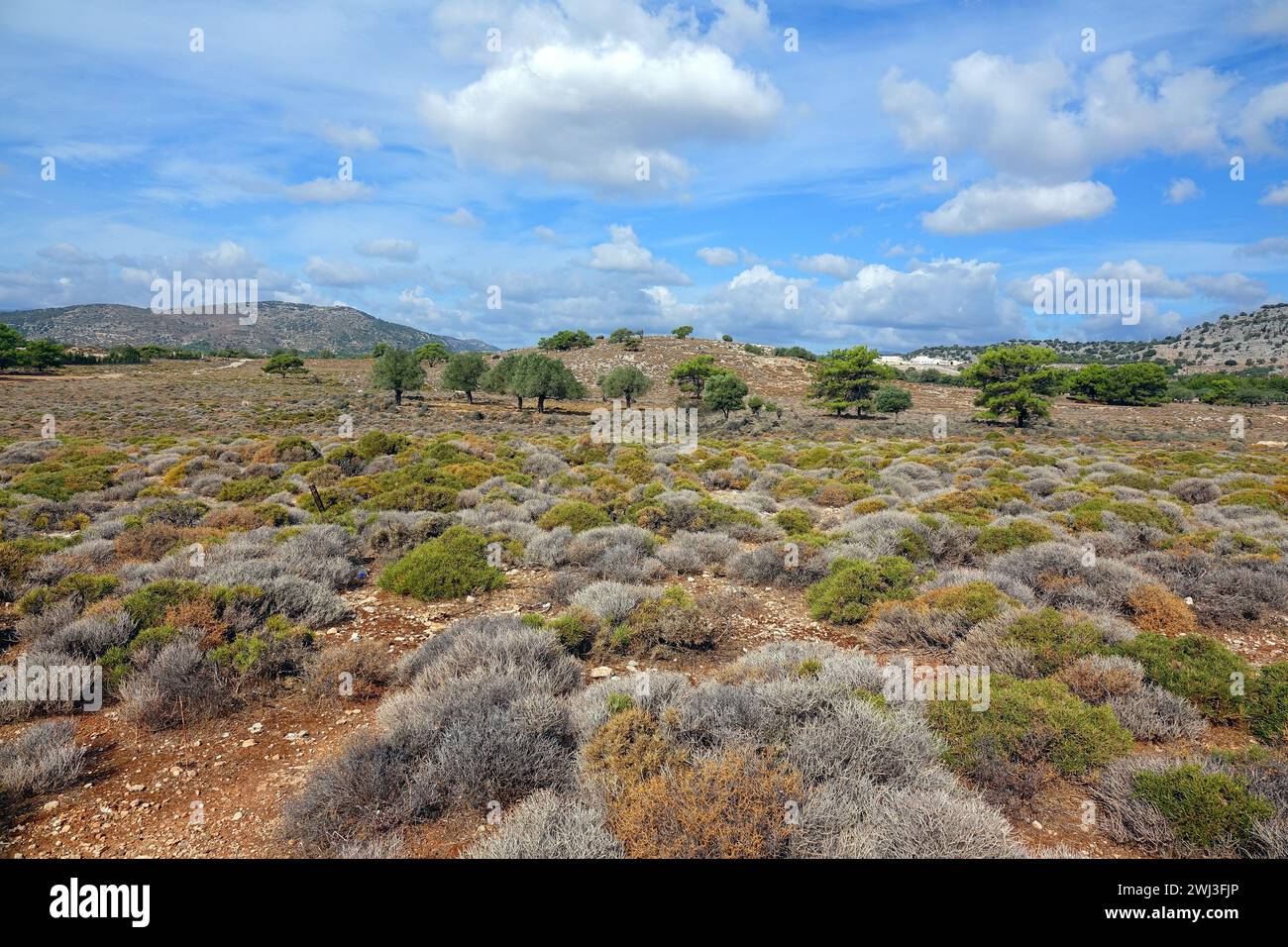 Charaki hi-res stock photography and images - Alamy
