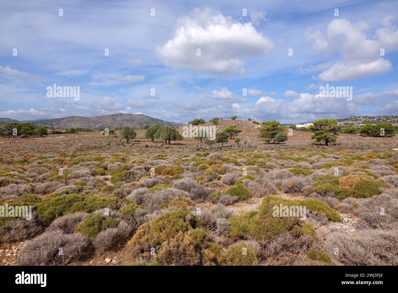 Charaki hi-res stock photography and images - Alamy