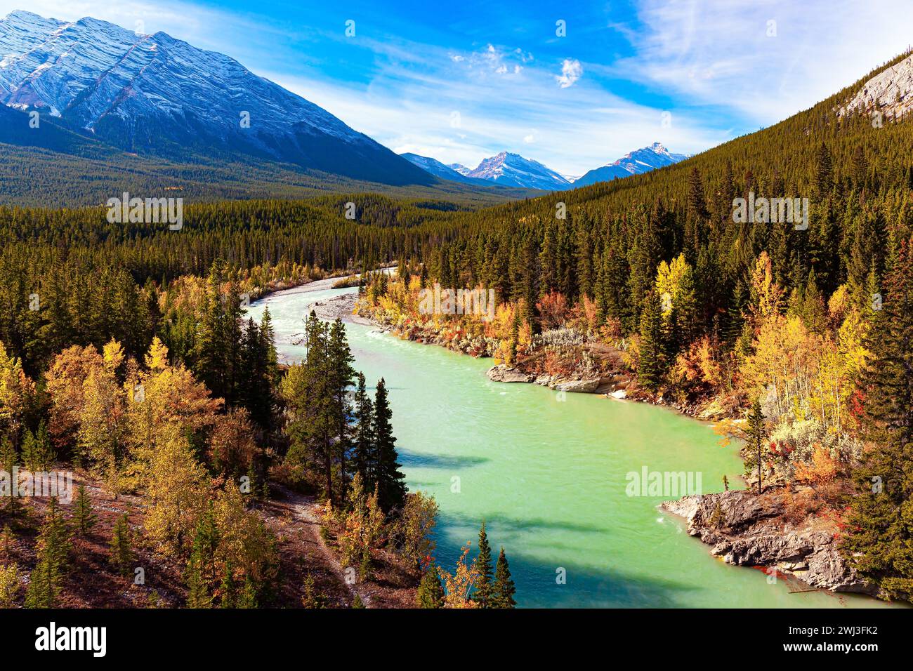 Gold green landscape hi-res stock photography and images - Alamy