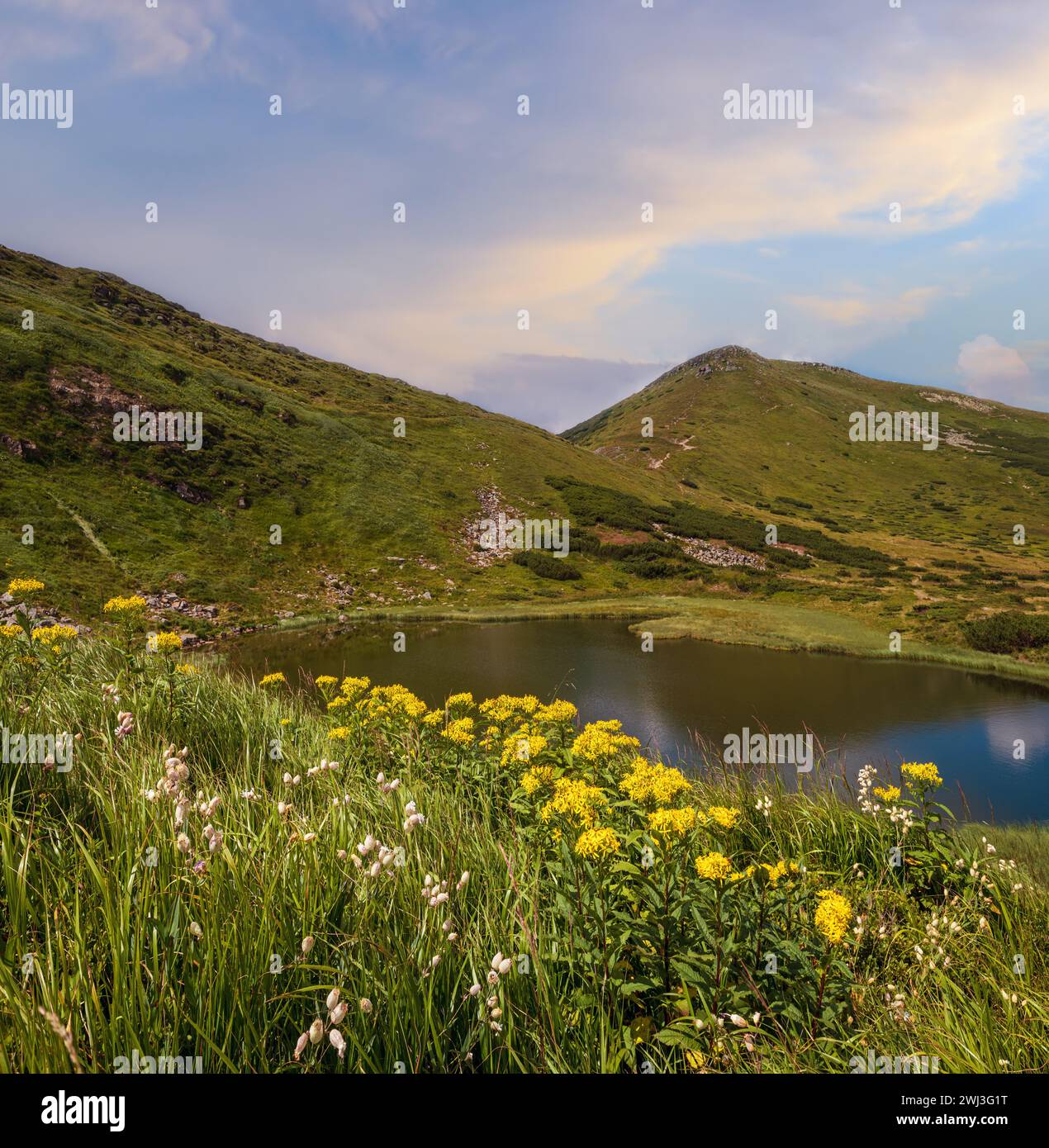 Summer Nesamovyte lake landscape, Chornohora ridge, Carpathian ...