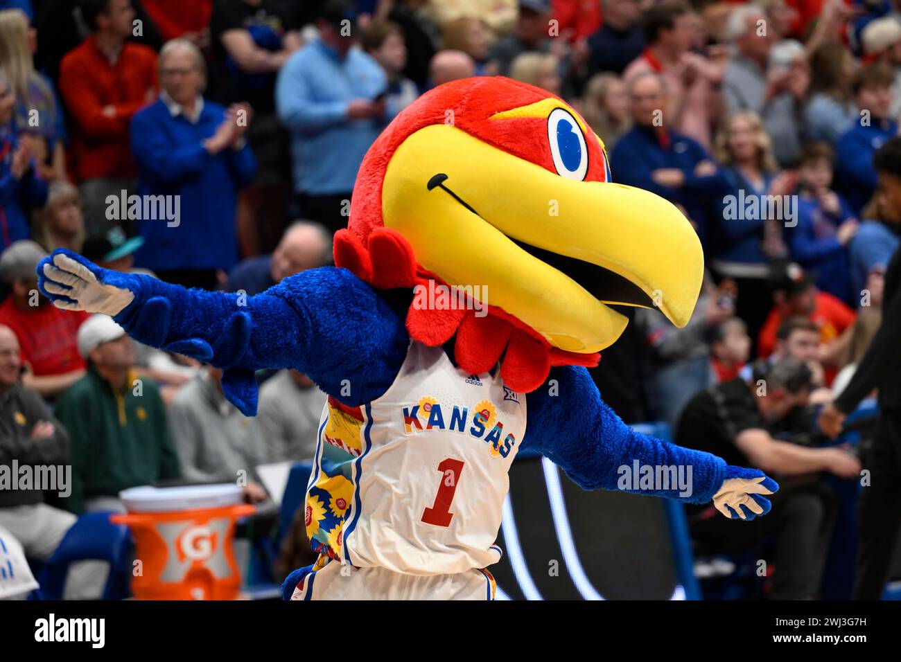 Big Jay, the Kansas mascot, performs before the first half of an NCAA ...