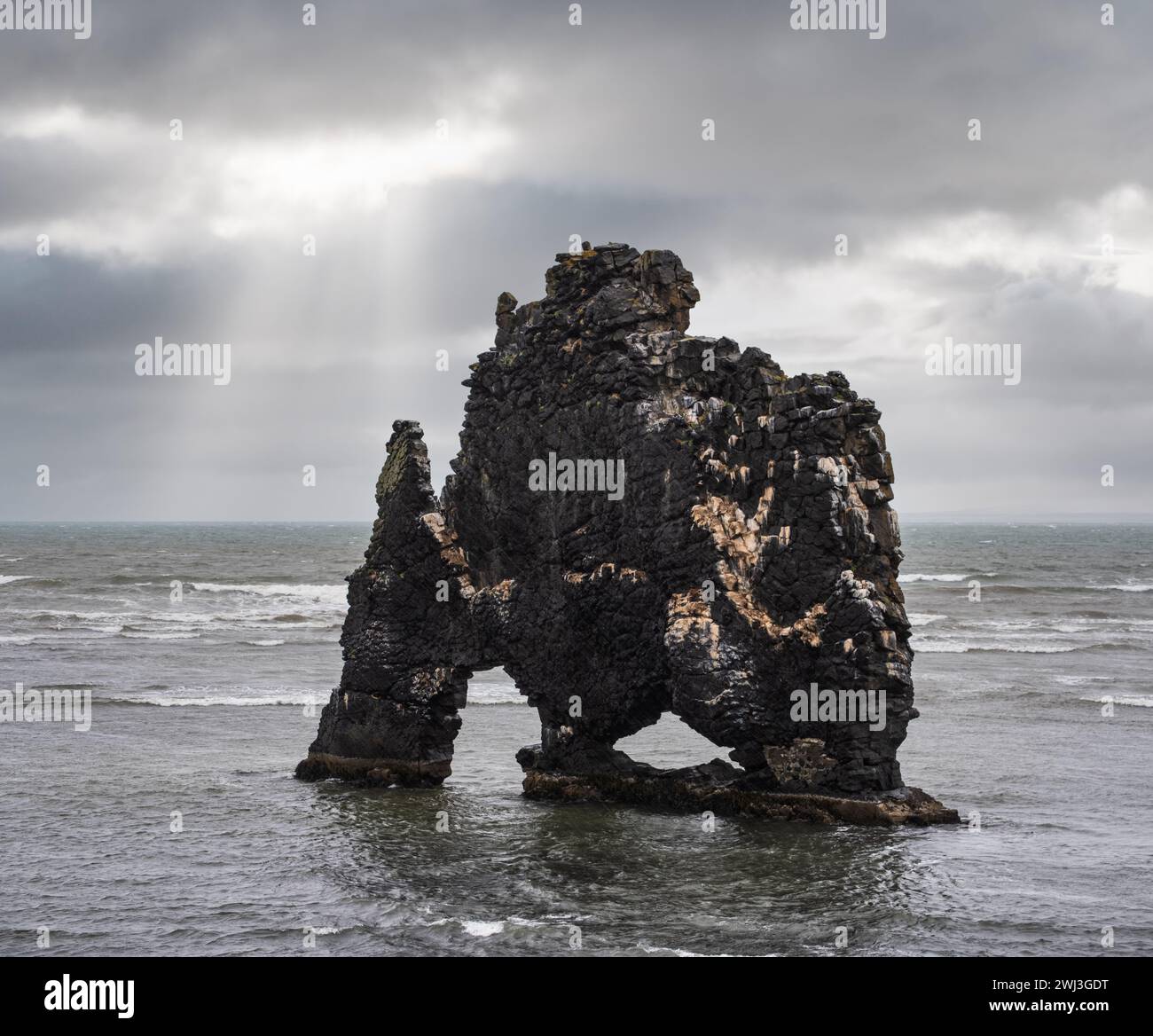 The drinking elephant or rhinoceros, basalt stack Hvitserkur along the ...