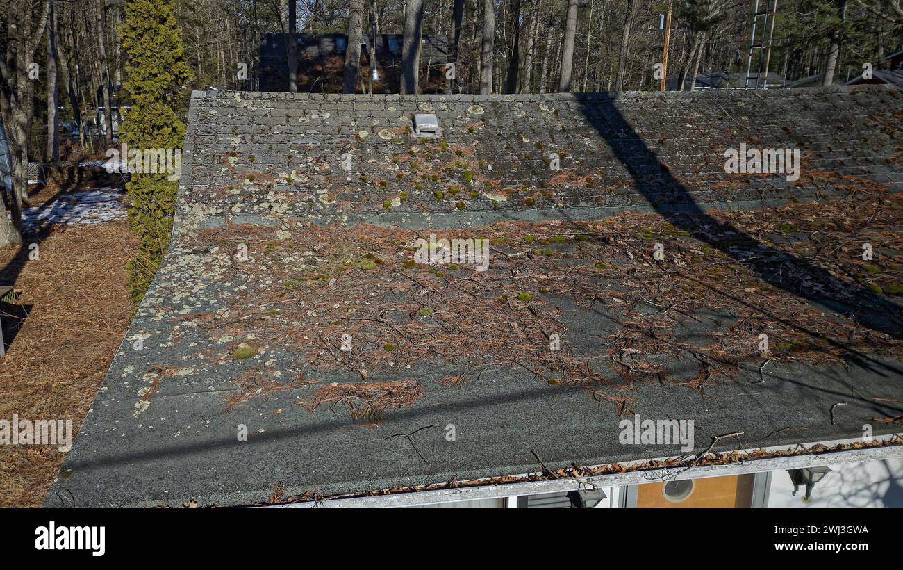 Roof in need of repair with damaged asphalt roofing shingles covered in ...