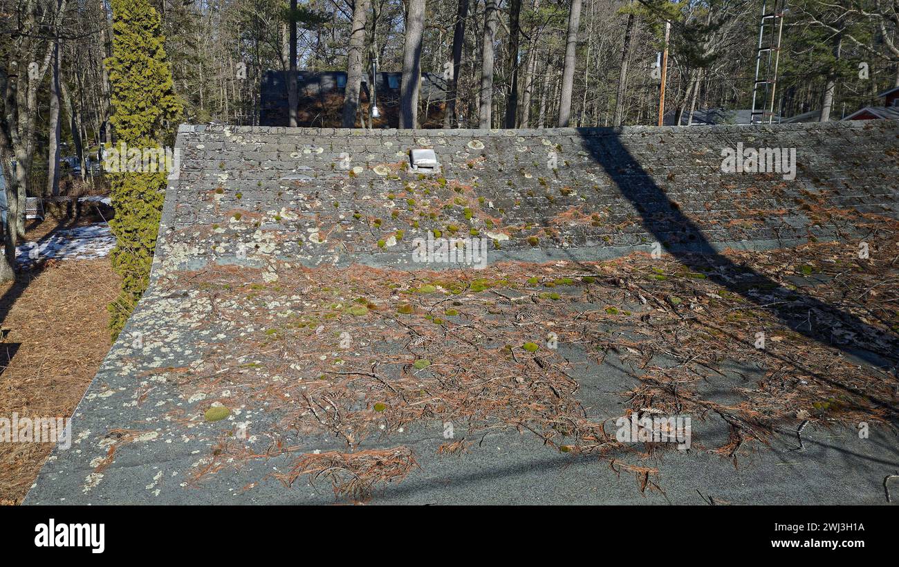 Roof in need of repair with damaged asphalt roofing shingles covered in ...