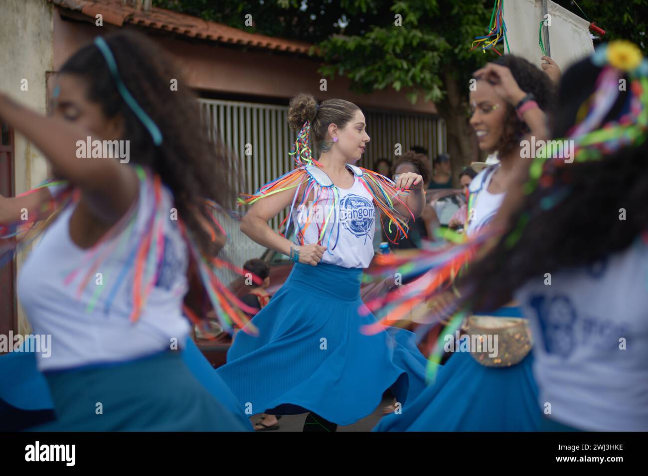 Franca, Sao Paulo, Brazil. 12th Feb, 2024. Revelers take part in the ...