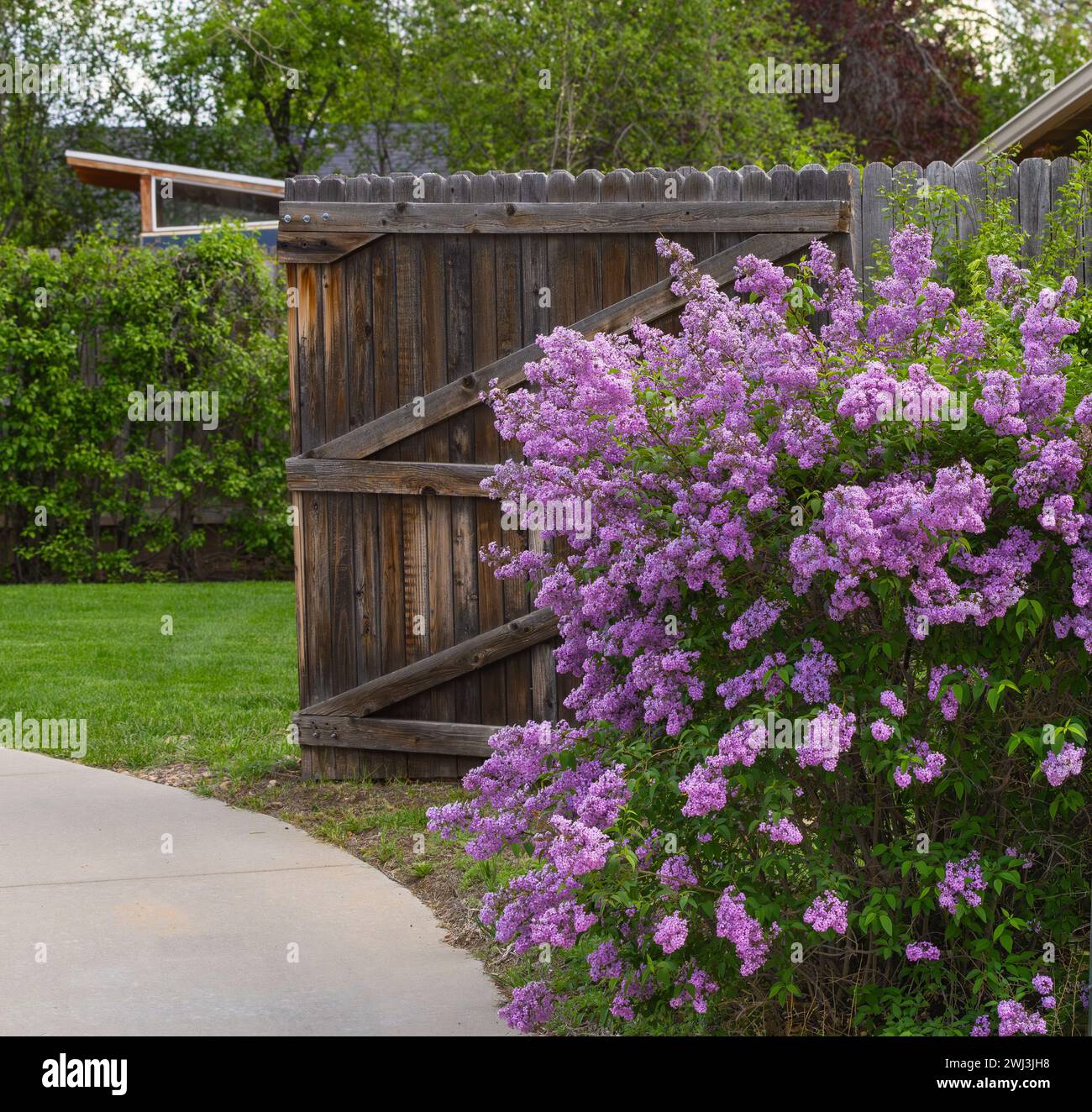 Bush maintenance hi-res stock photography and images - Alamy