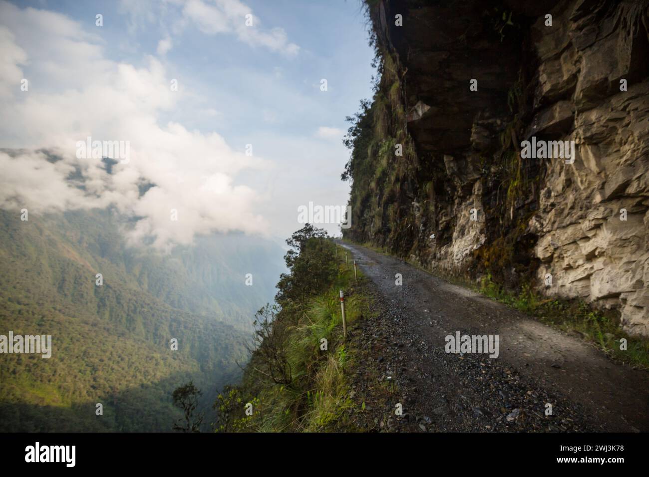 Deep south america trees road hi-res stock photography and images - Alamy