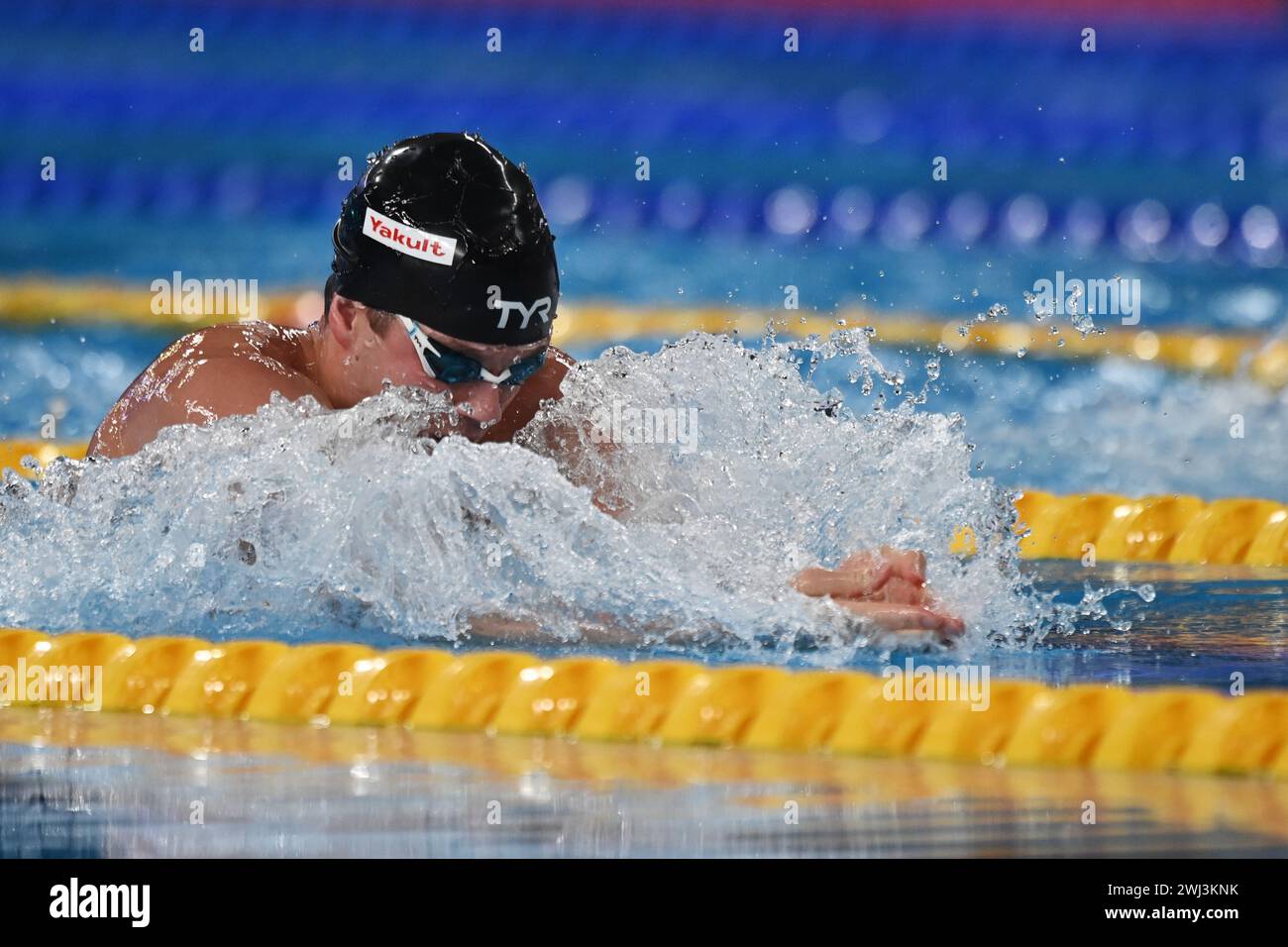 Gold fink hi-res stock photography and images - Alamy