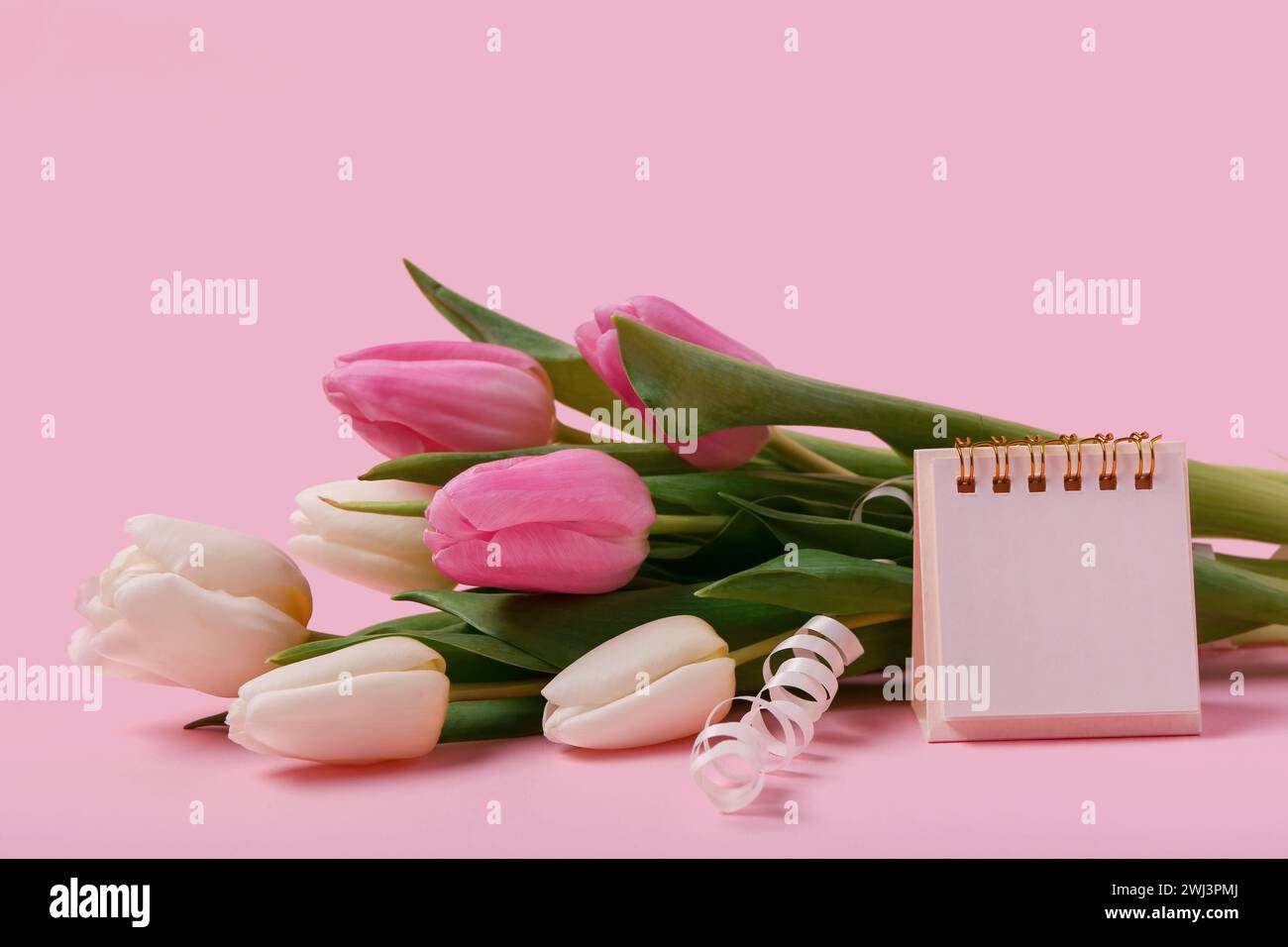 Beautiful tulips and calendar on pink background. International Women's ...