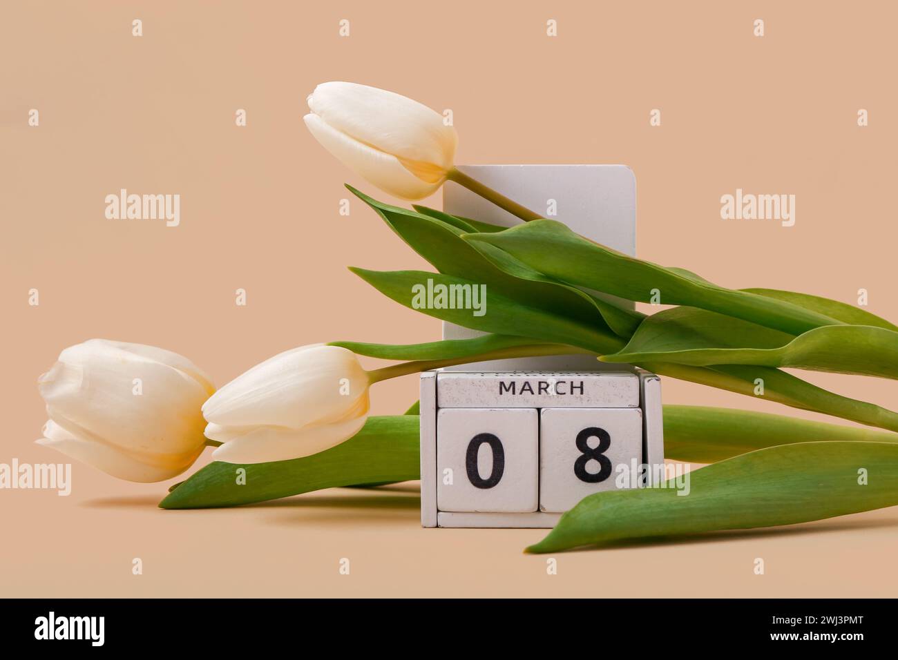 Calendar with date 8 MARCH and beautiful white tulips on brown ...