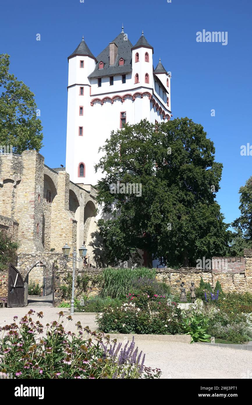 Eltville burg hi-res stock photography and images - Alamy
