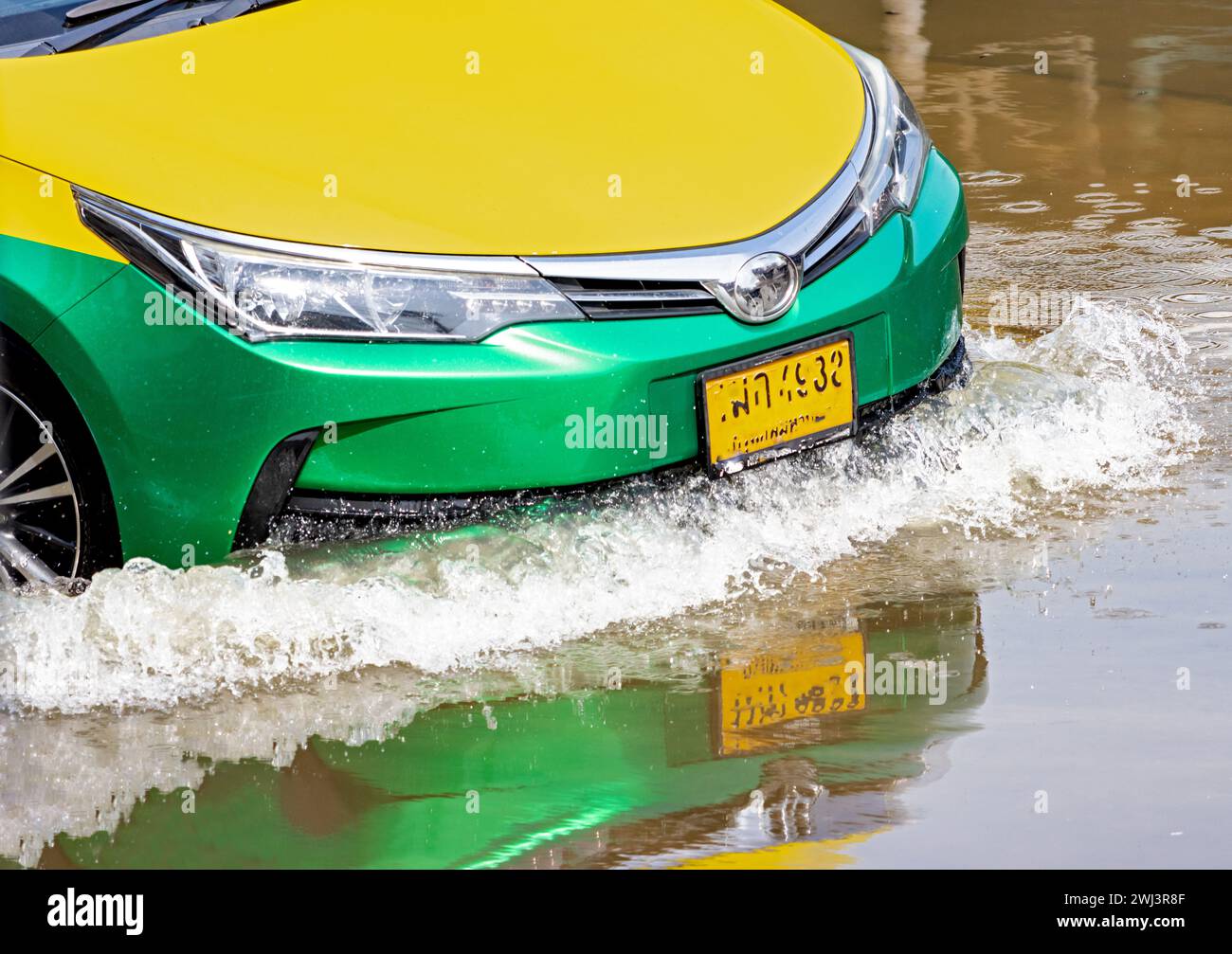 Car nose mask hi-res stock photography and images - Alamy