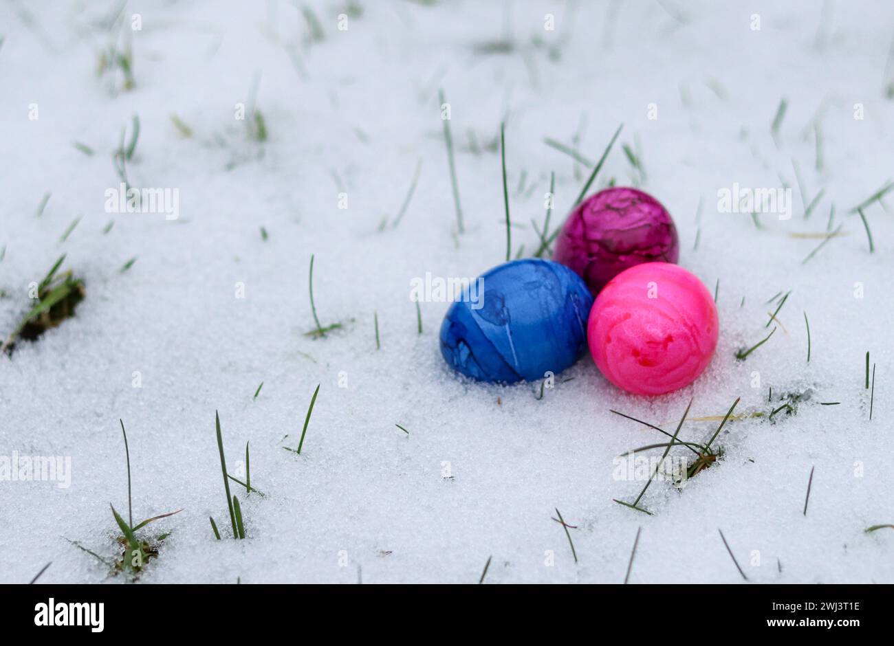 Colorful easter eggs in snow Stock Photo - Alamy
