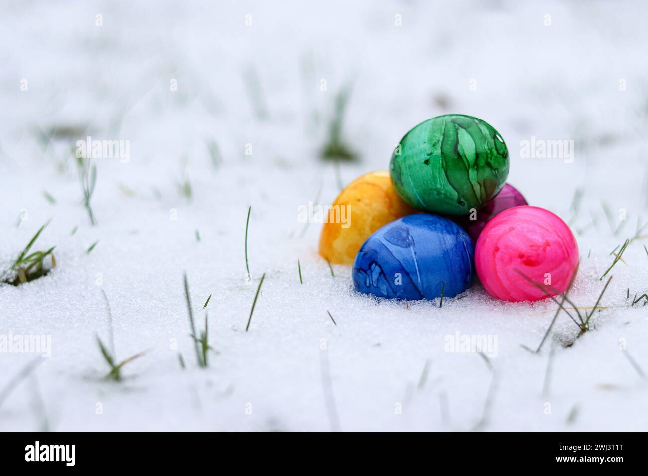 Colorful easter eggs in snow Stock Photo - Alamy