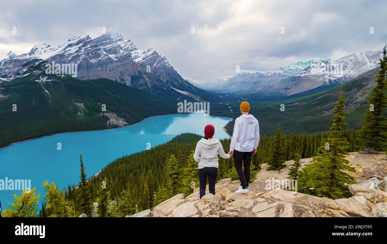Lake Peyto in Banff National Park, Canada. Mountain Lake as a fox head ...
