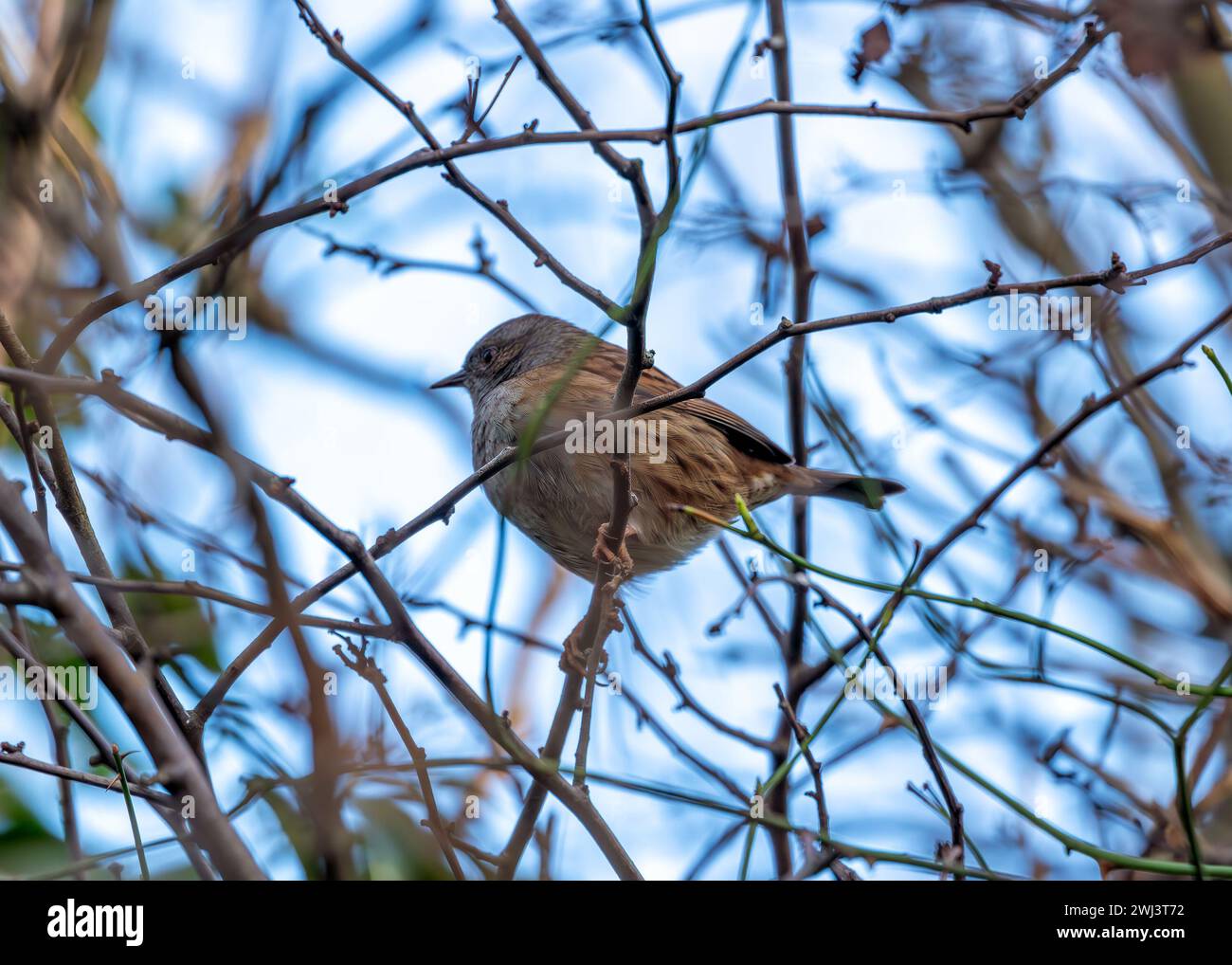 The national botanic gardens of ireland hi-res stock photography and ...