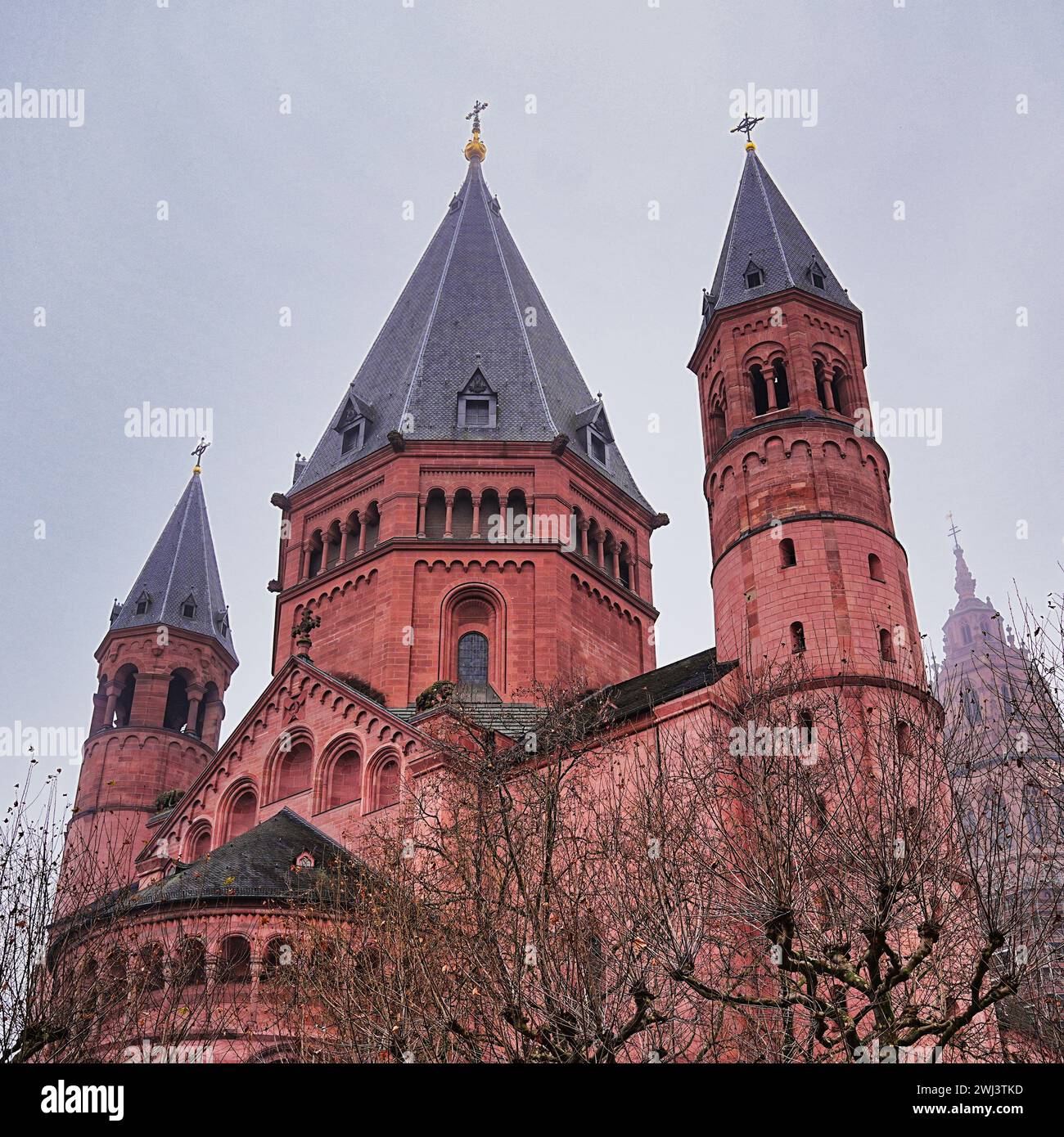 Catholic Cathedral in Mainz Stock Photo - Alamy