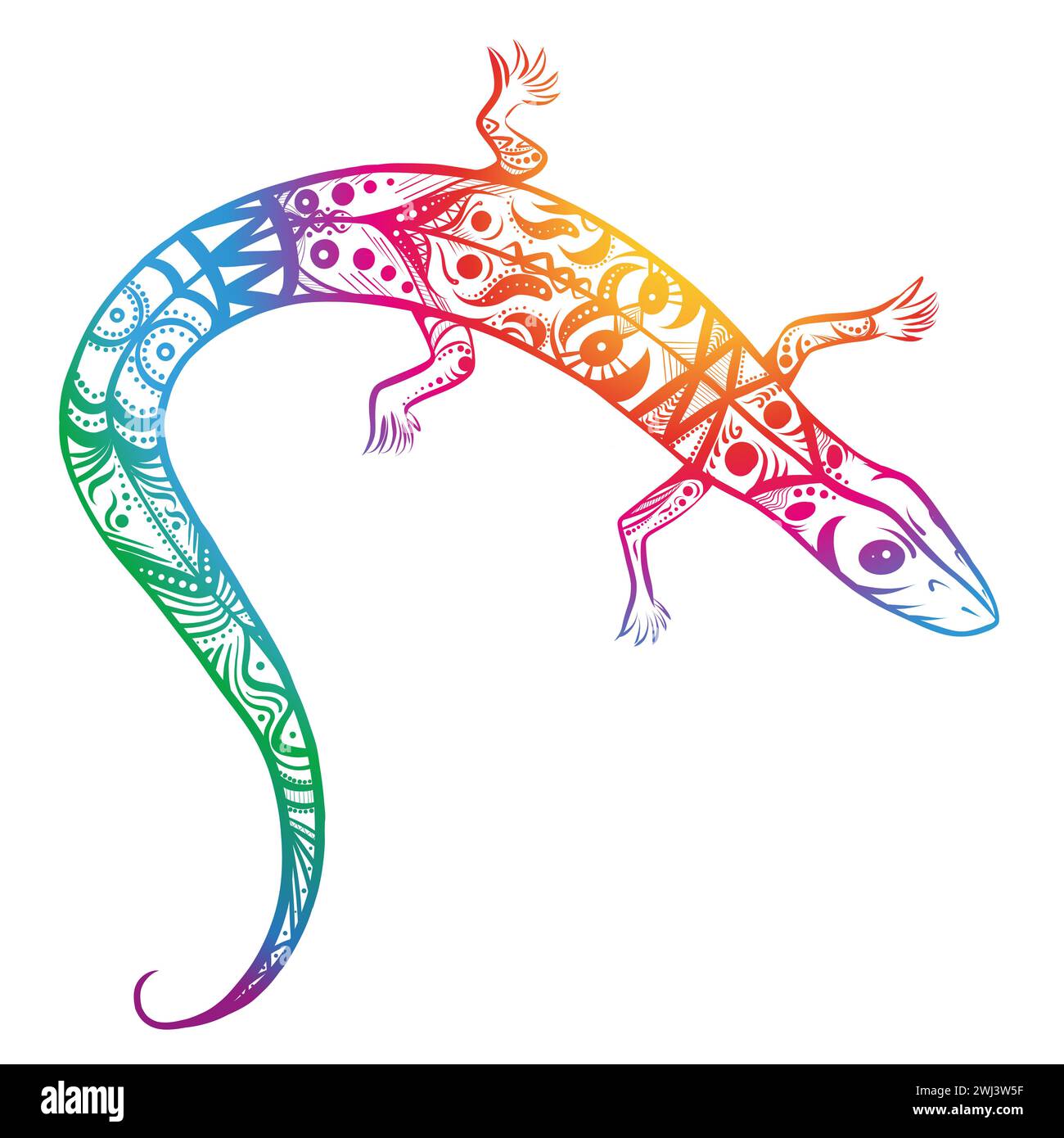 Colorful Lizards Drawings Lizard Cartoon Images – Browse 146,027