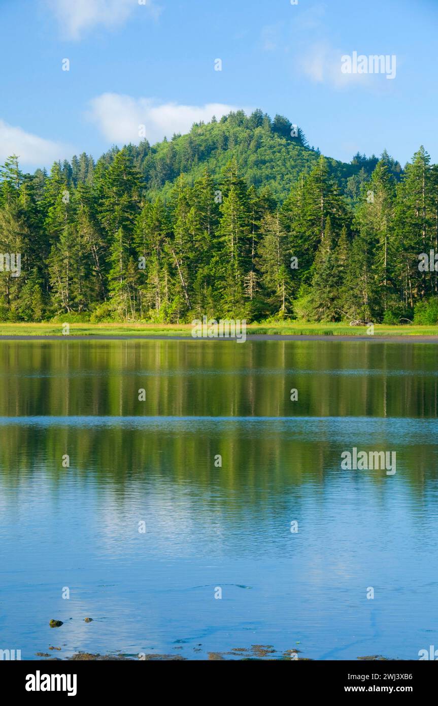 Salmon River estuary, Knight Park, Oregon Stock Photo - Alamy