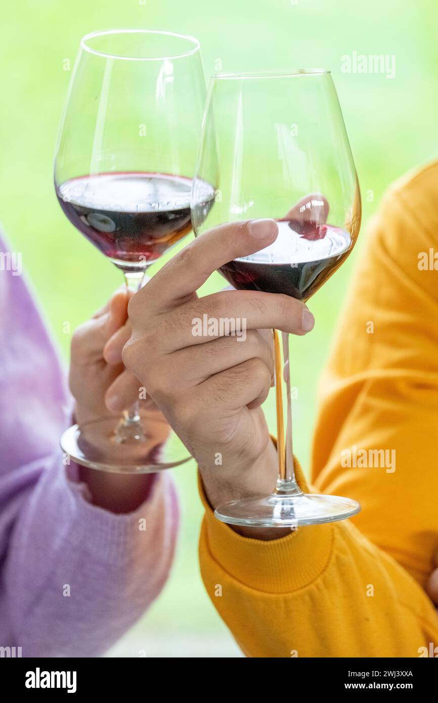 Celebratory Red Wine Toast Stock Photo - Alamy
