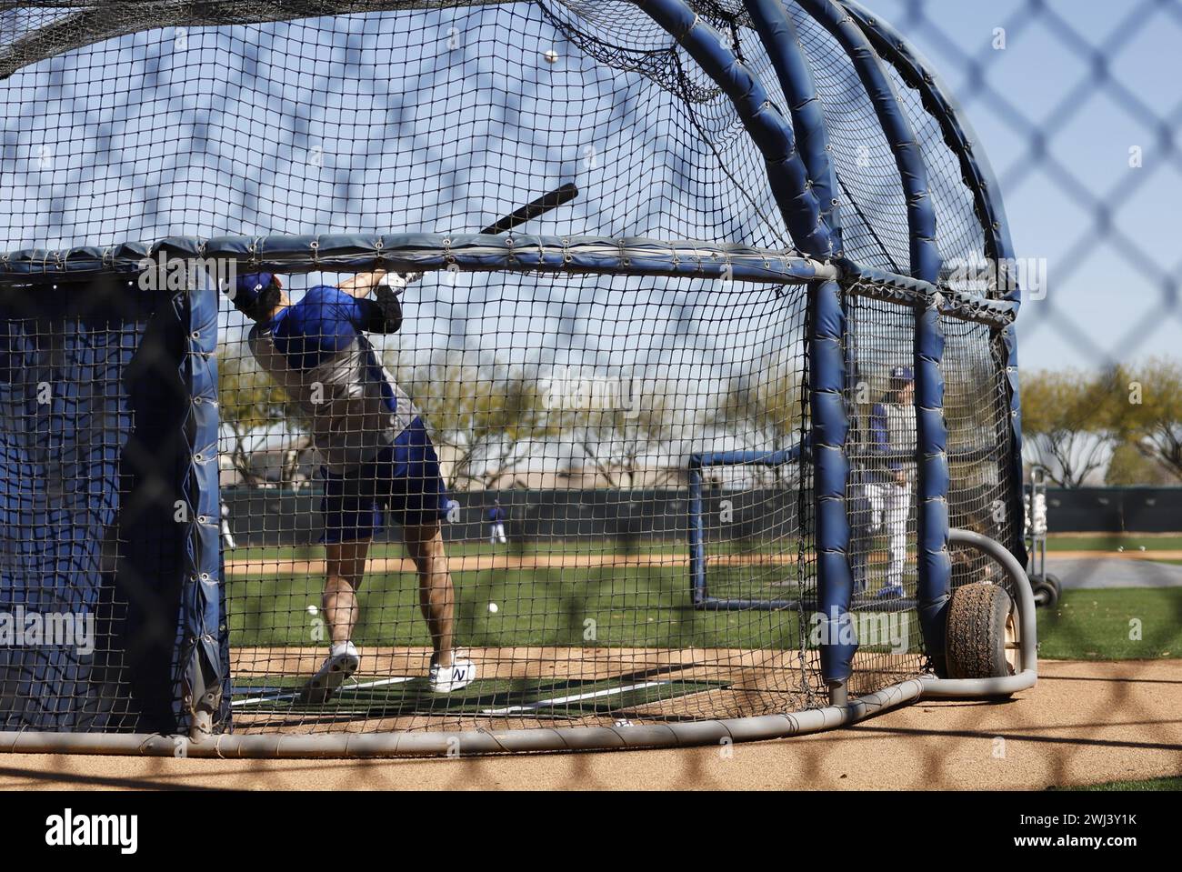 Shohei Ohtani takes batting practice at spring training with the Los ...