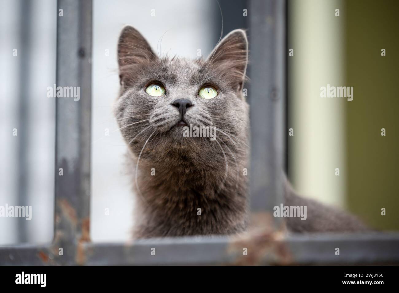 Ukraine homeless hi-res stock photography and images - Alamy