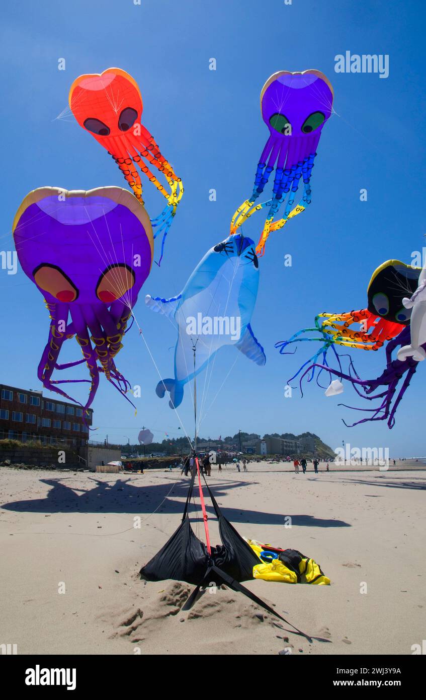 Octopus kites, Lincoln City Summer Kite Festival, Dee River State Park ...