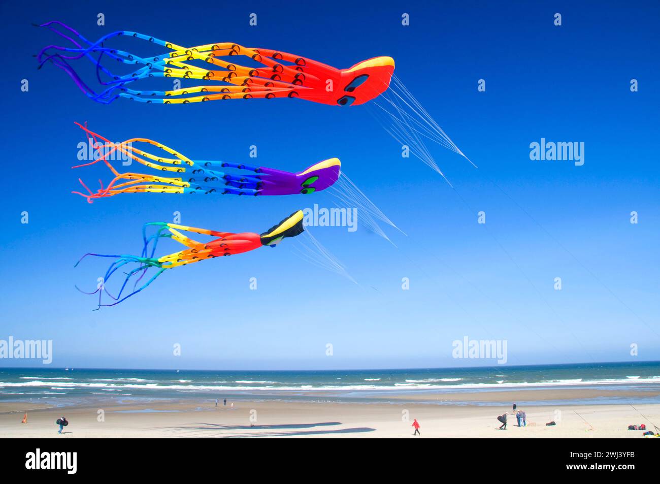 Octopus kites, Lincoln City Summer Kite Festival, Dee River State Park ...
