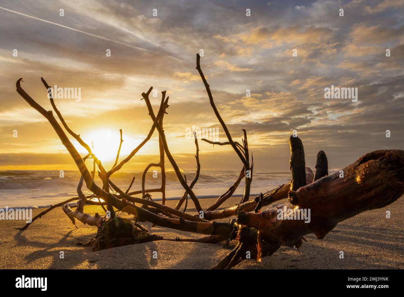 Sunnny day ocean hi-res stock photography and images - Alamy