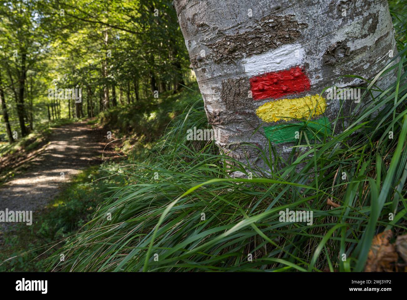 Color signage of the route Stock Photo - Alamy