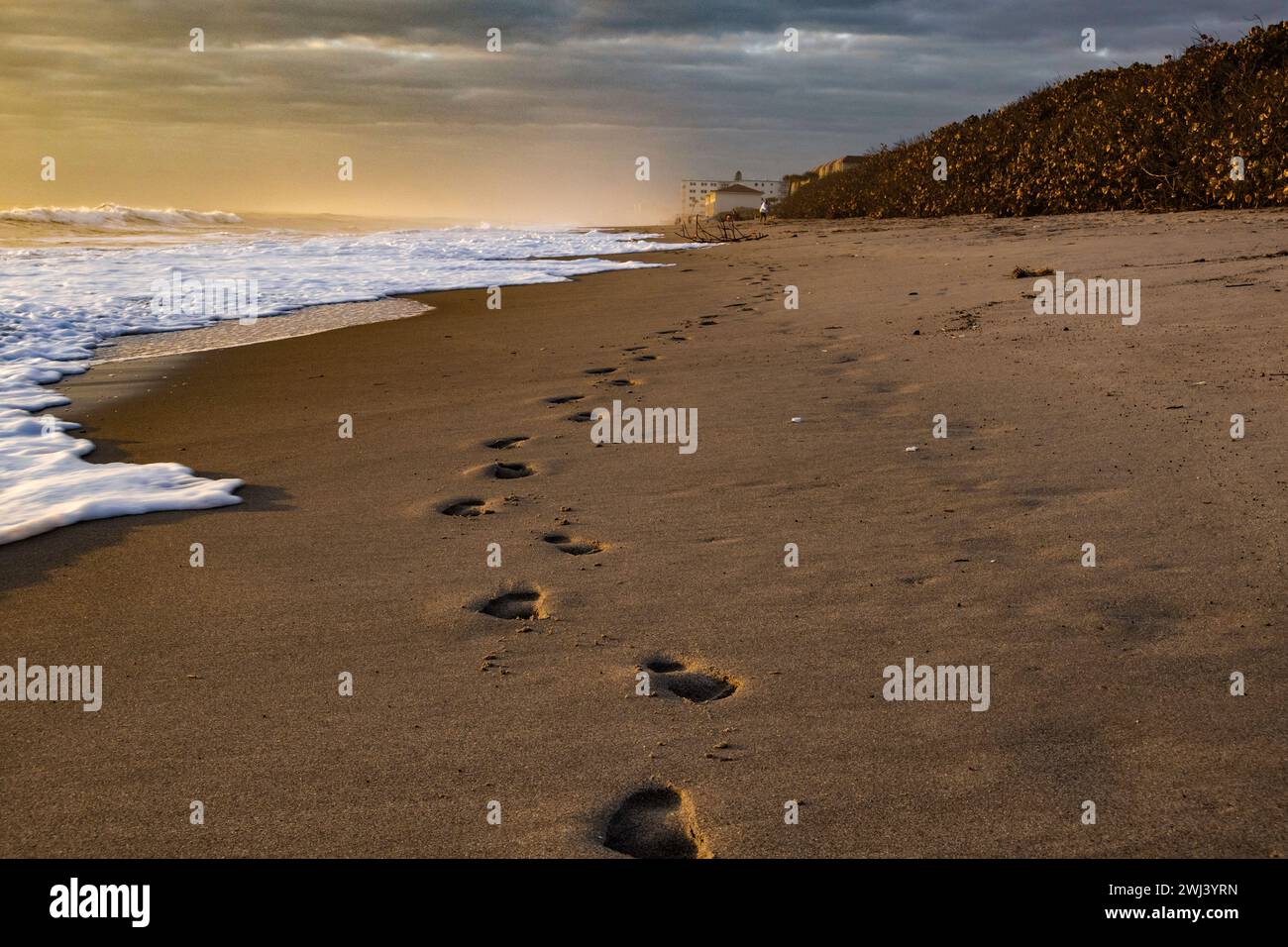 Foam waves crashing on beach hi-res stock photography and images - Alamy