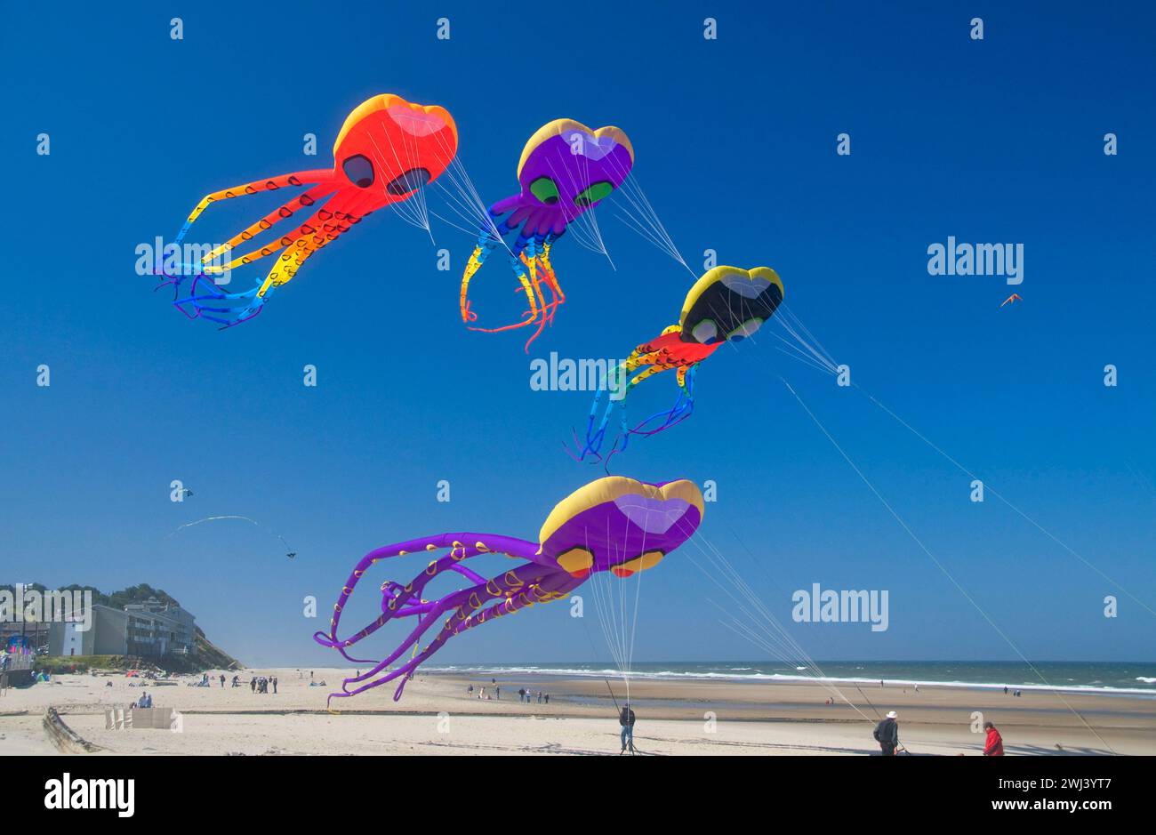 Octopus kites, Lincoln City Summer Kite Festival, Dee River State Park ...