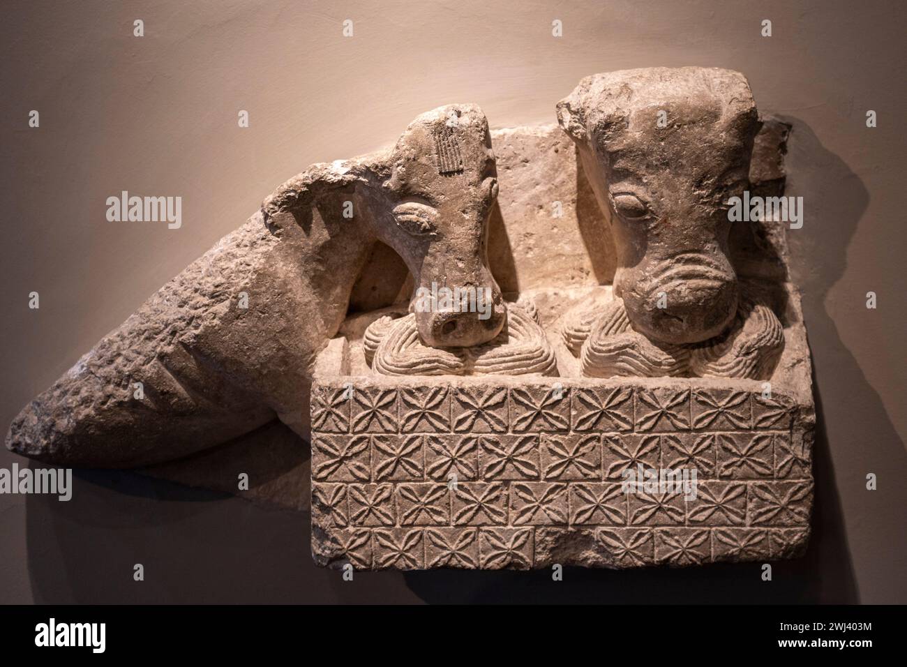 The mule and ox Stock Photo - Alamy