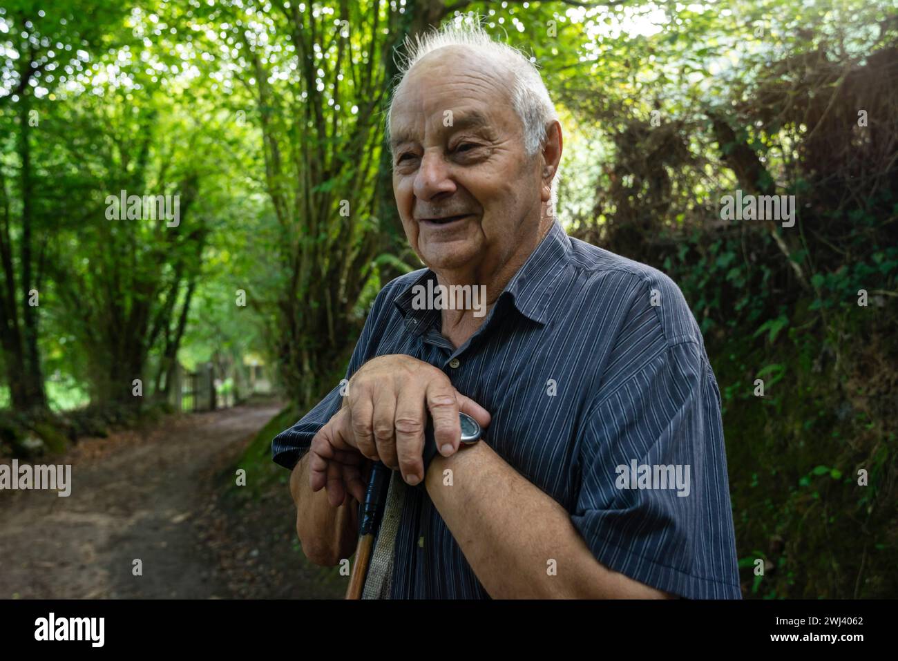 Old man enjoying the walk in the forest Stock Photo - Alamy