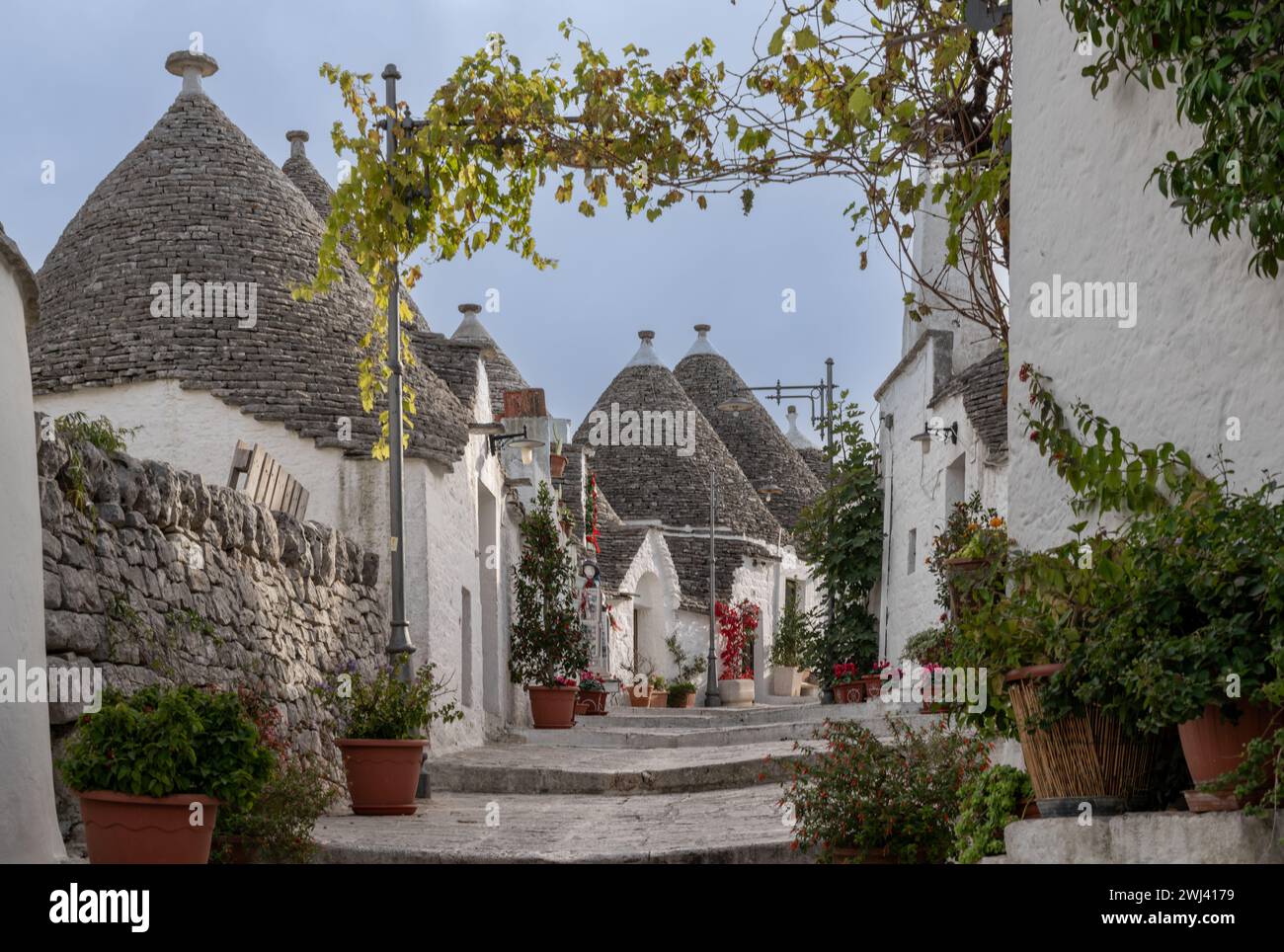 View of the Rione Monti District of Alberobello with its historic ...