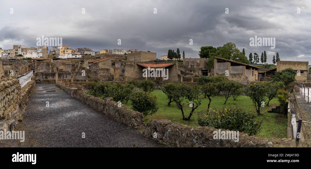 Orchard and street in the excavated ancient Roman city of Herculaneum ...