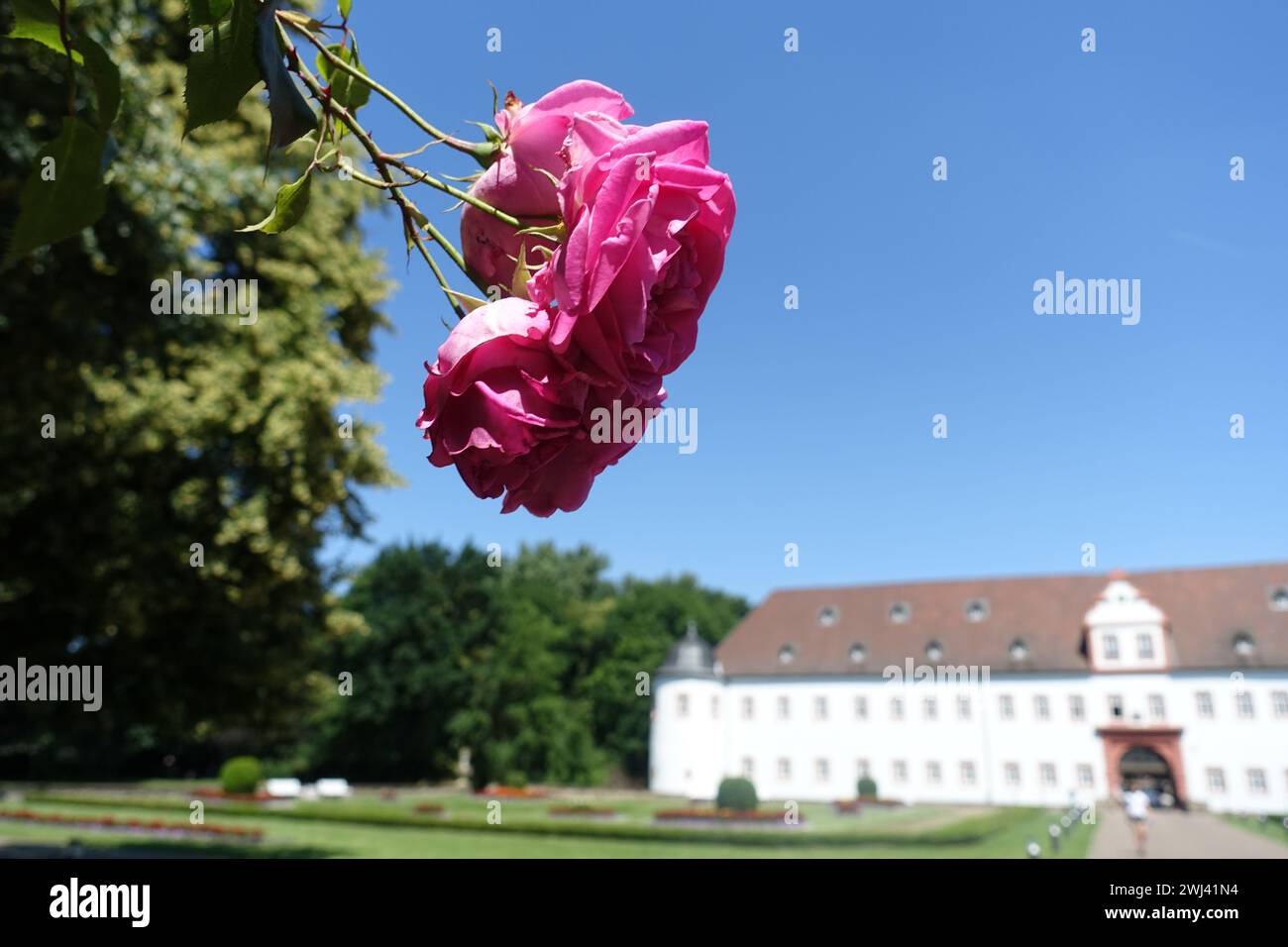 Rose castle renaissance in hi-res stock photography and images - Alamy